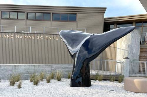 Tybee Island Marine Science Center - Tybee Island GA | AAA.com Tybee Island Marine Science Center - Tybee Island GA | AAA.com